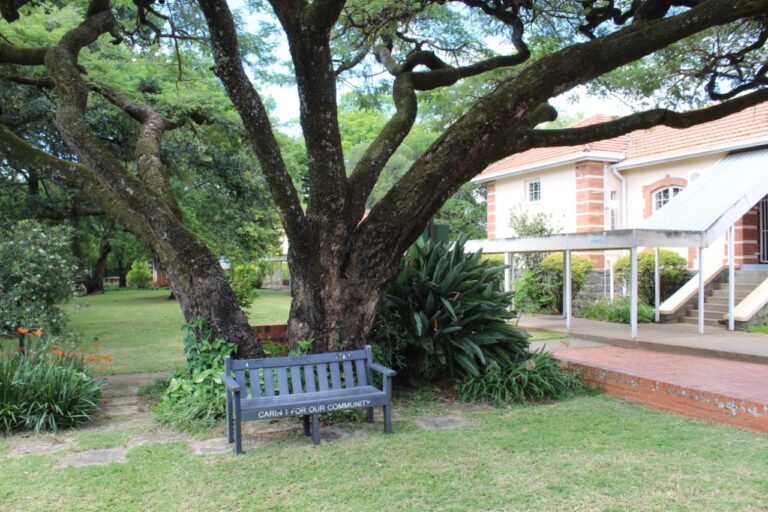 Gallery – Egerton Primary School