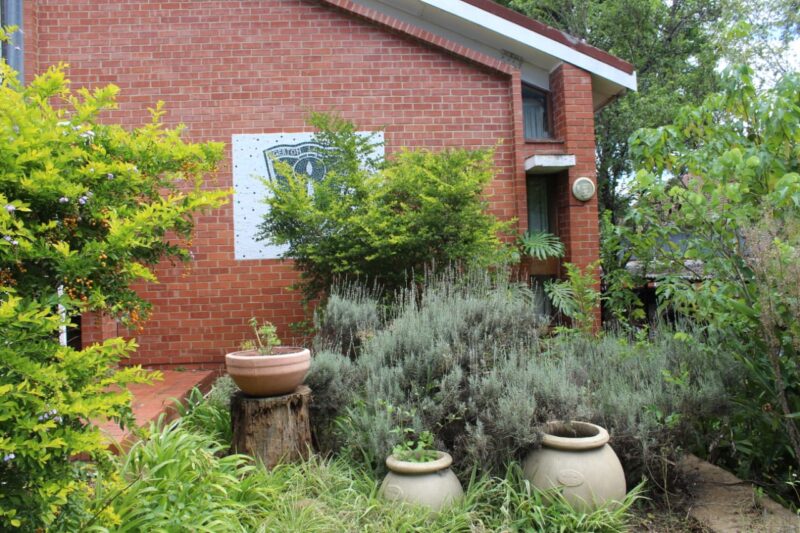 Gallery – Egerton Primary School