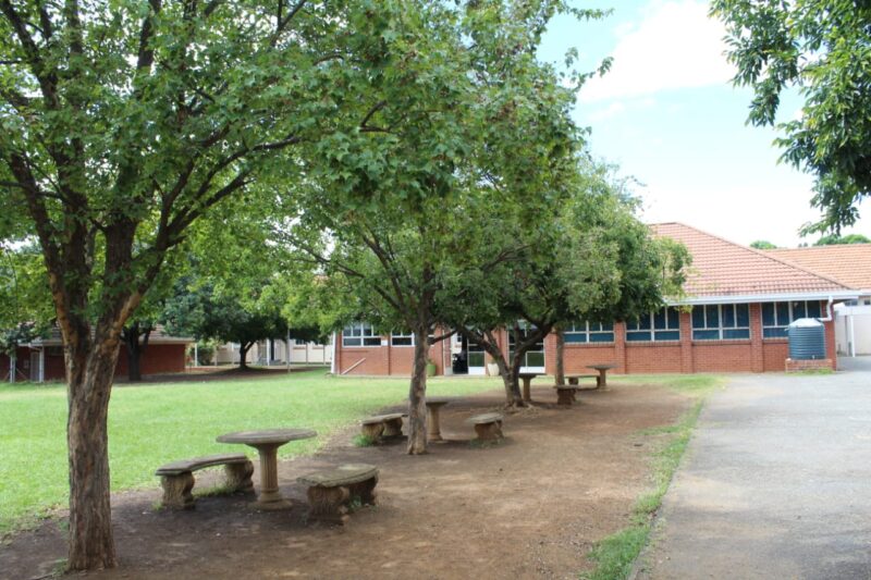 Gallery – Egerton Primary School